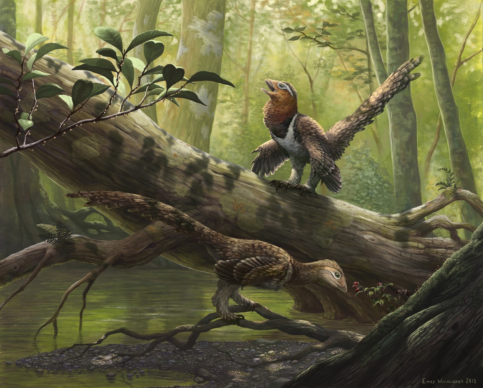 Species New to Science: [Paleontology • 2015] The Phylogenetic ...