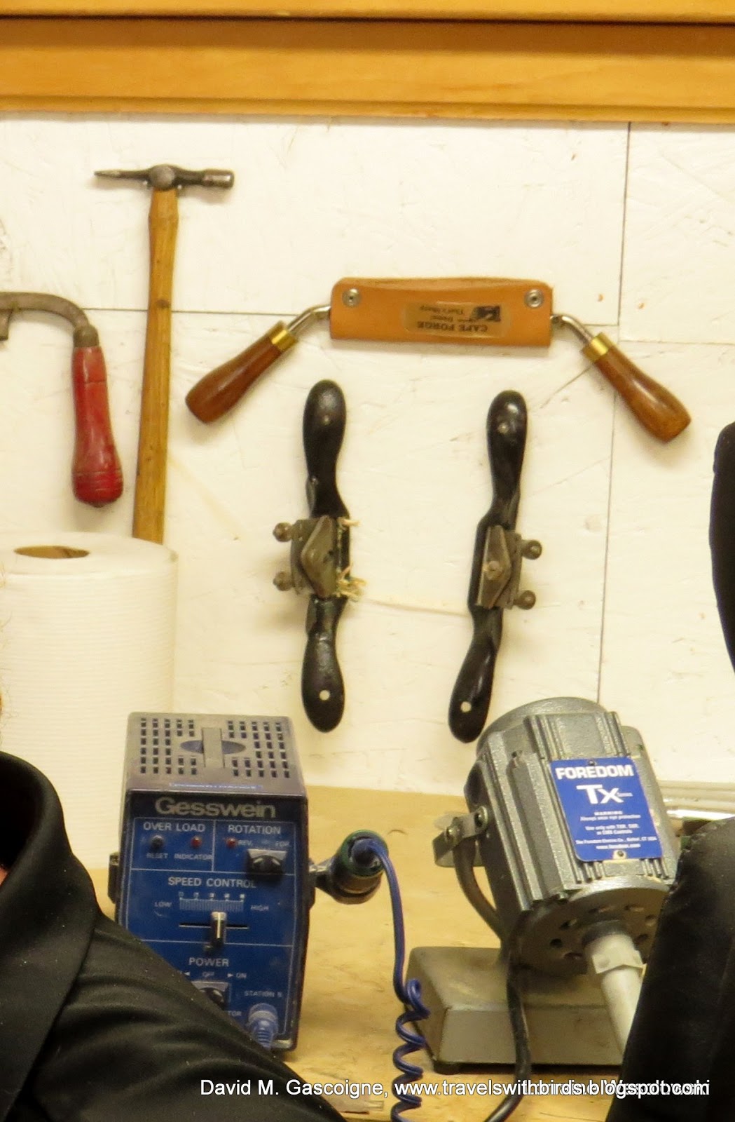 Wayne Simkin - Two-time World Champion Wood Carver - Travels With Birds