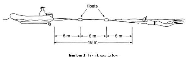 Metode Pemantauan Terumbu Karang ~ Sari Laut
