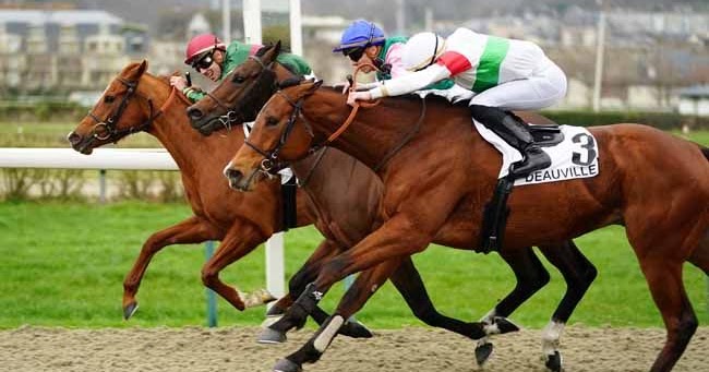 Italians: Primo partente e prima vittoria per Mario Baratti. Doppietta ...