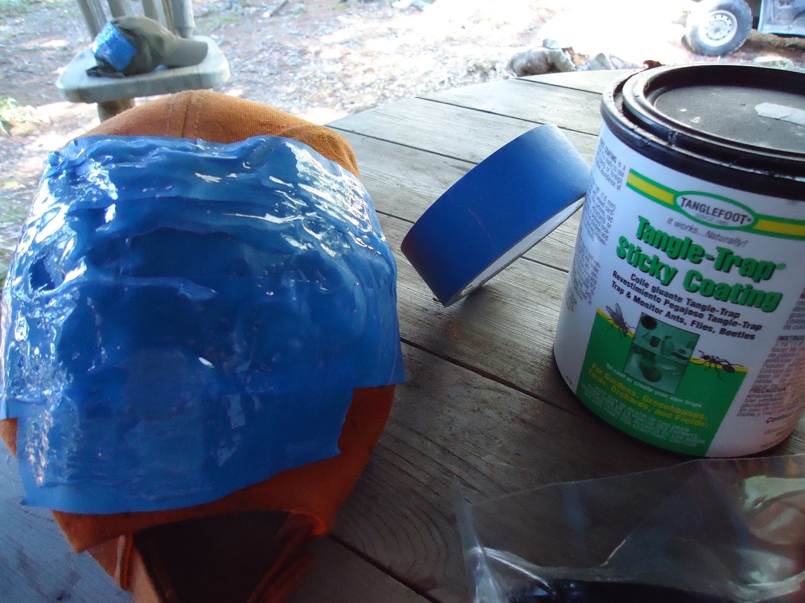 How to Create a DIY Outdoor Sticky Fly Trap | Paris Farmers Union