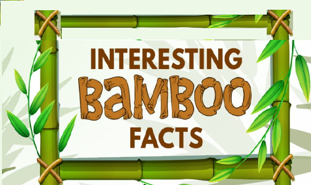 Super Bamboo Plants #INFOGRAPHIC - Visualistan
