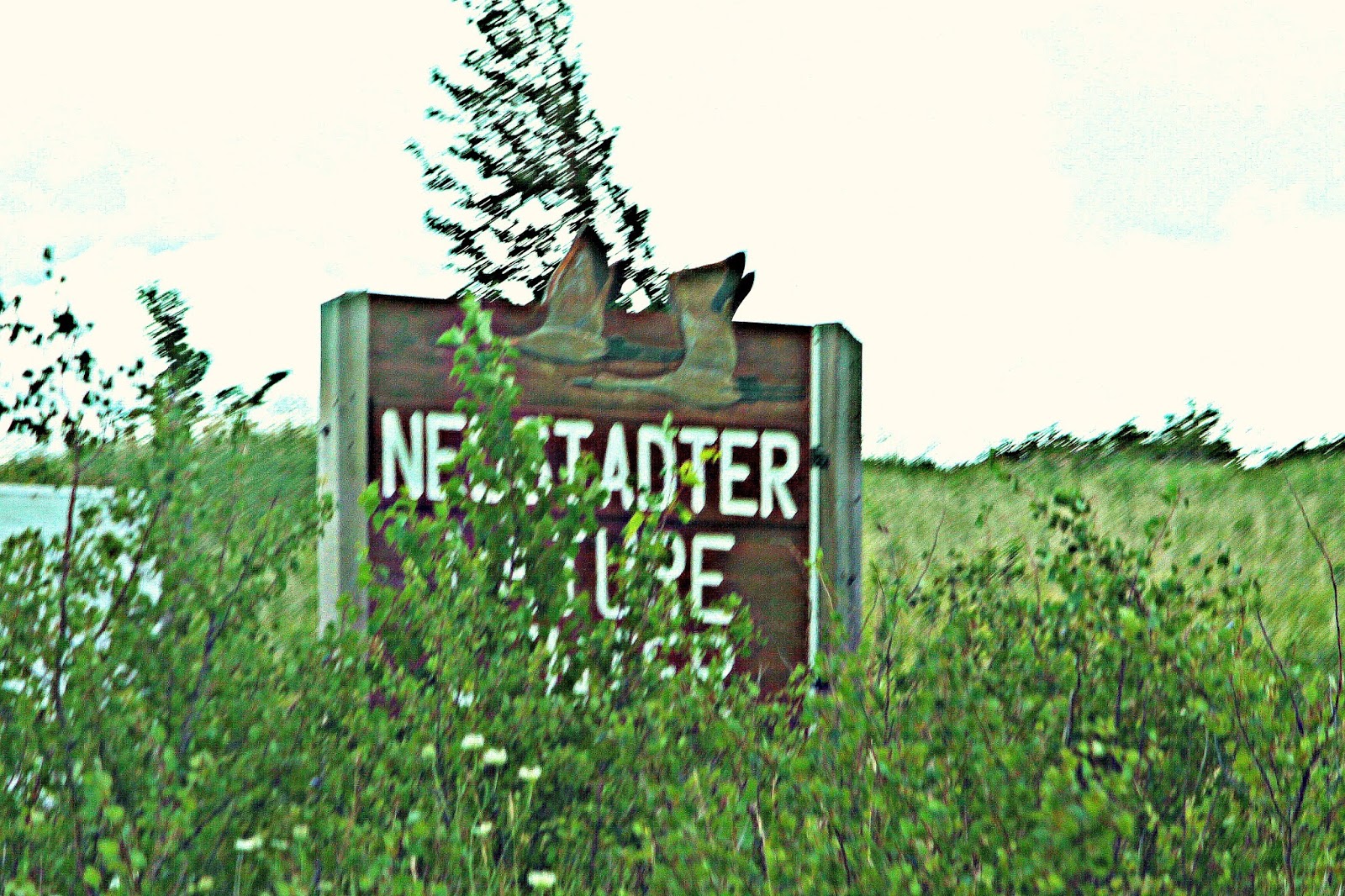 Timber Life: A Visit To The Collins WI Marsh Wildlife Area