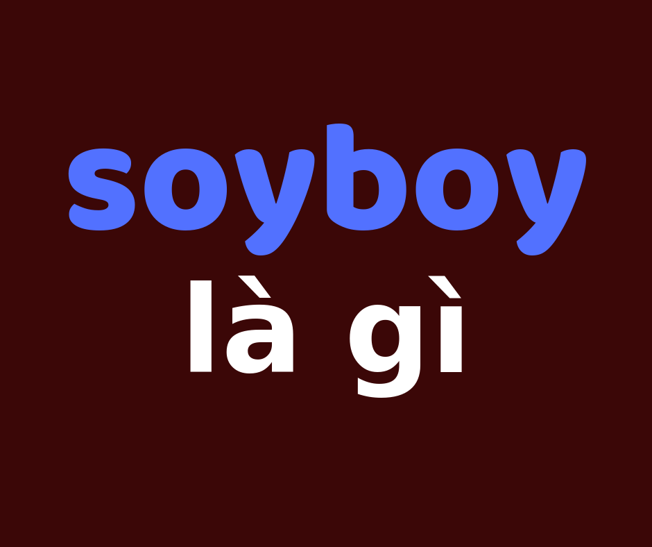 Soyboy là gì? Ý nghĩa của từ soy boy - Dịch Nghĩa Online