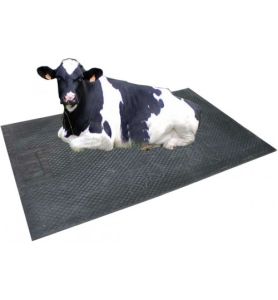 Jindal Cow Mats- A Perfect Option for Cattle Care!
