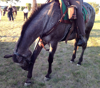 Karen Beeson: Kane County Mounted Rangers