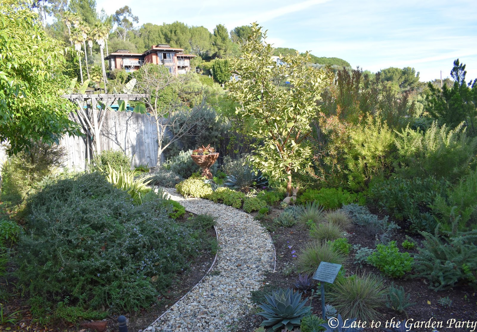 Late to the Garden Party: Wide Shots - January 2020