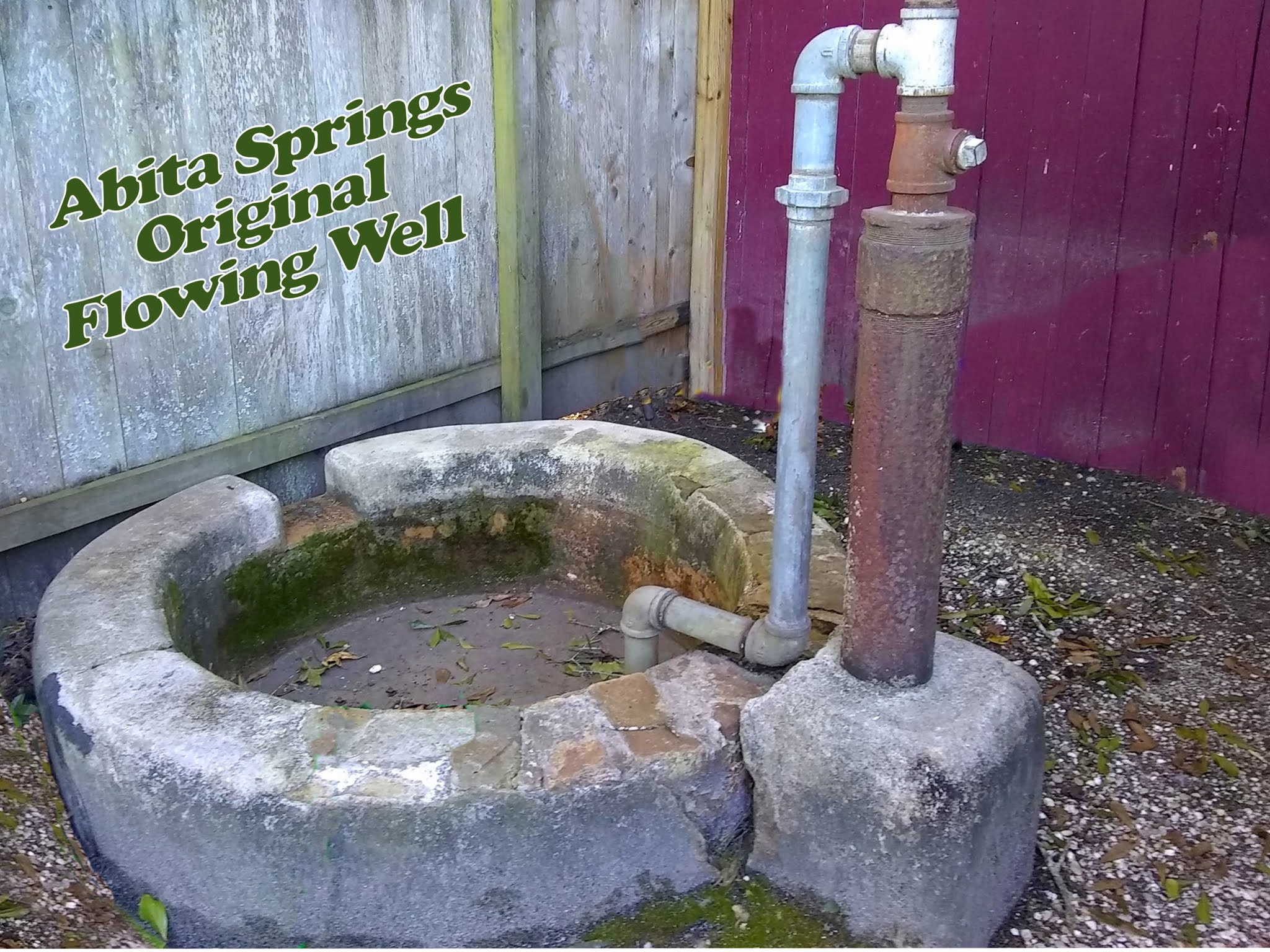 Tammany Family: Wells