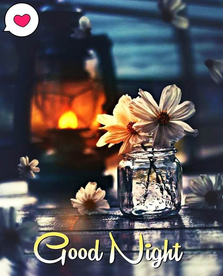 Cute Good Night Images