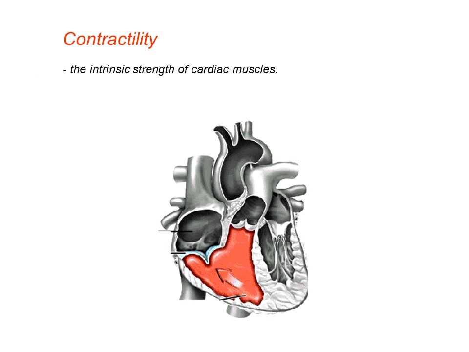CVT Mohd Farid: Physiology Of The Heart