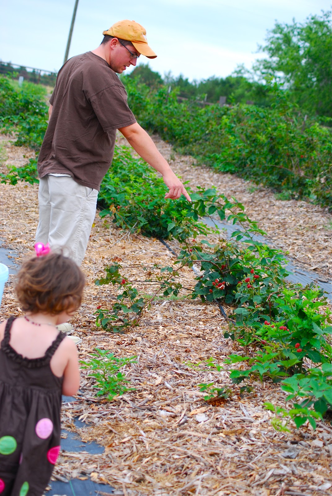 better than i could have imagined: picking berries...