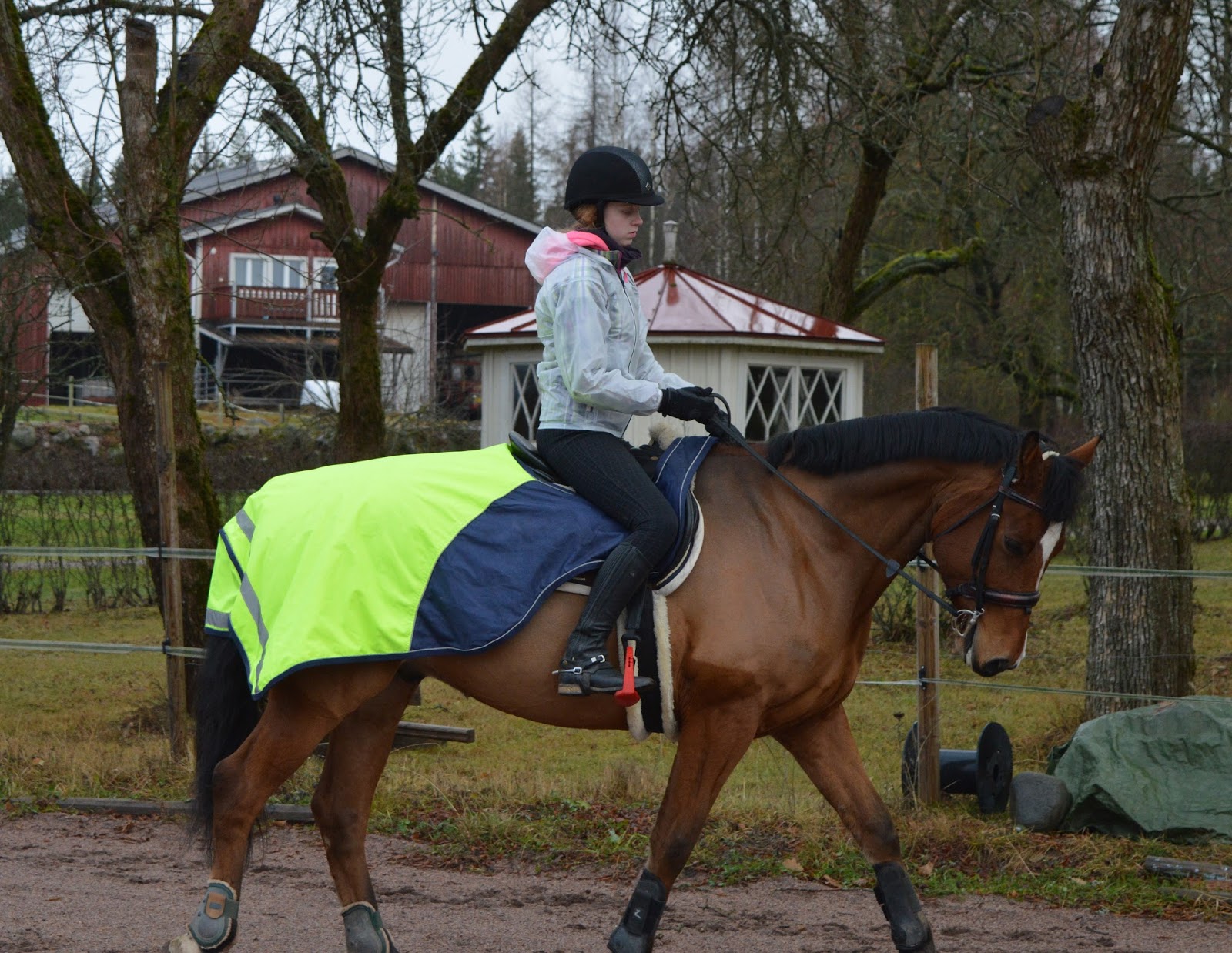 Tarinoita Puolanpojasta: Käsi ei tottele, pohje ei tottele, eikä ...