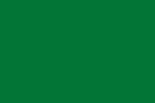 Euro Kids- Ashiana Nagar: Green Color