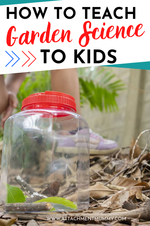 How to Teach Kids Science in Your Back Garden