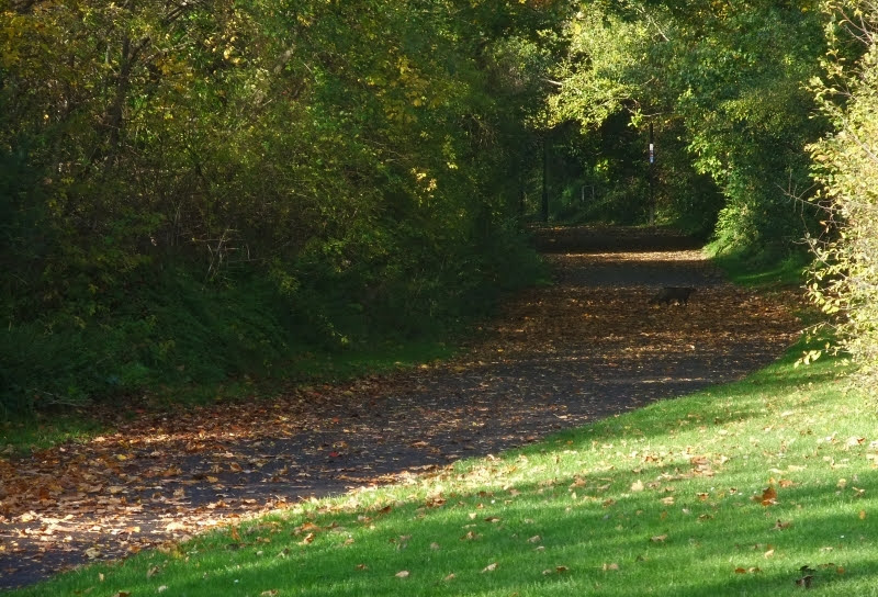 Photographs Of Newcastle: Walker Riverside
