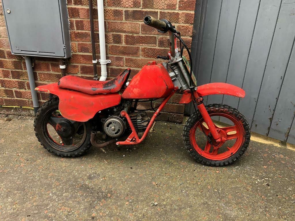 Amelia Squariel: Starting Young - Honda QR50