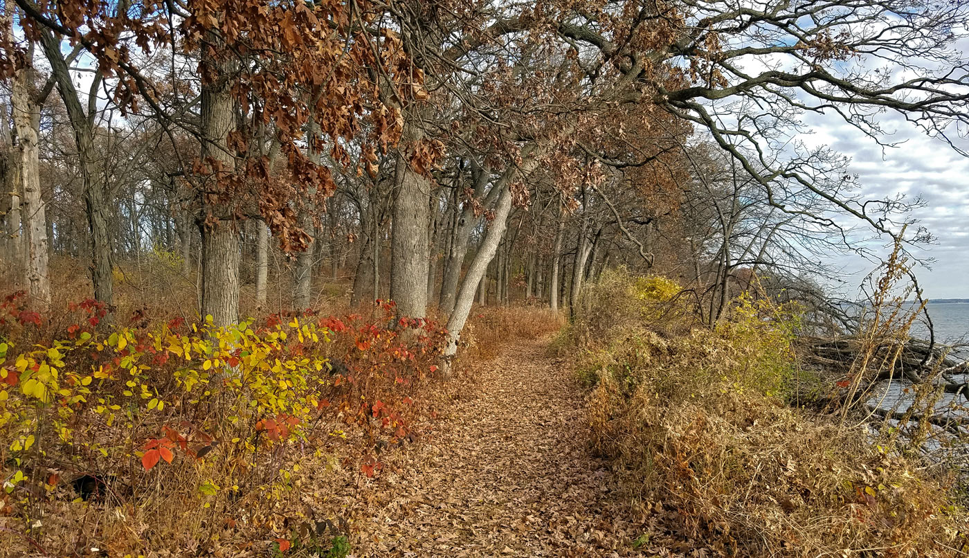 Máistir Nádúraí: Nadir of Autumn