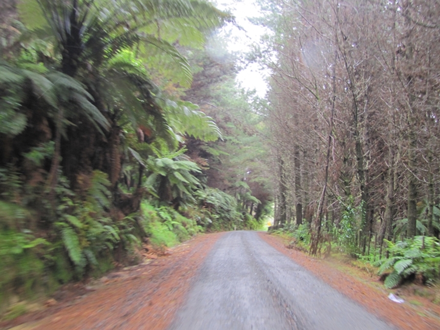 photographing New Zealand: Forgotten World Highway - State Highway 43