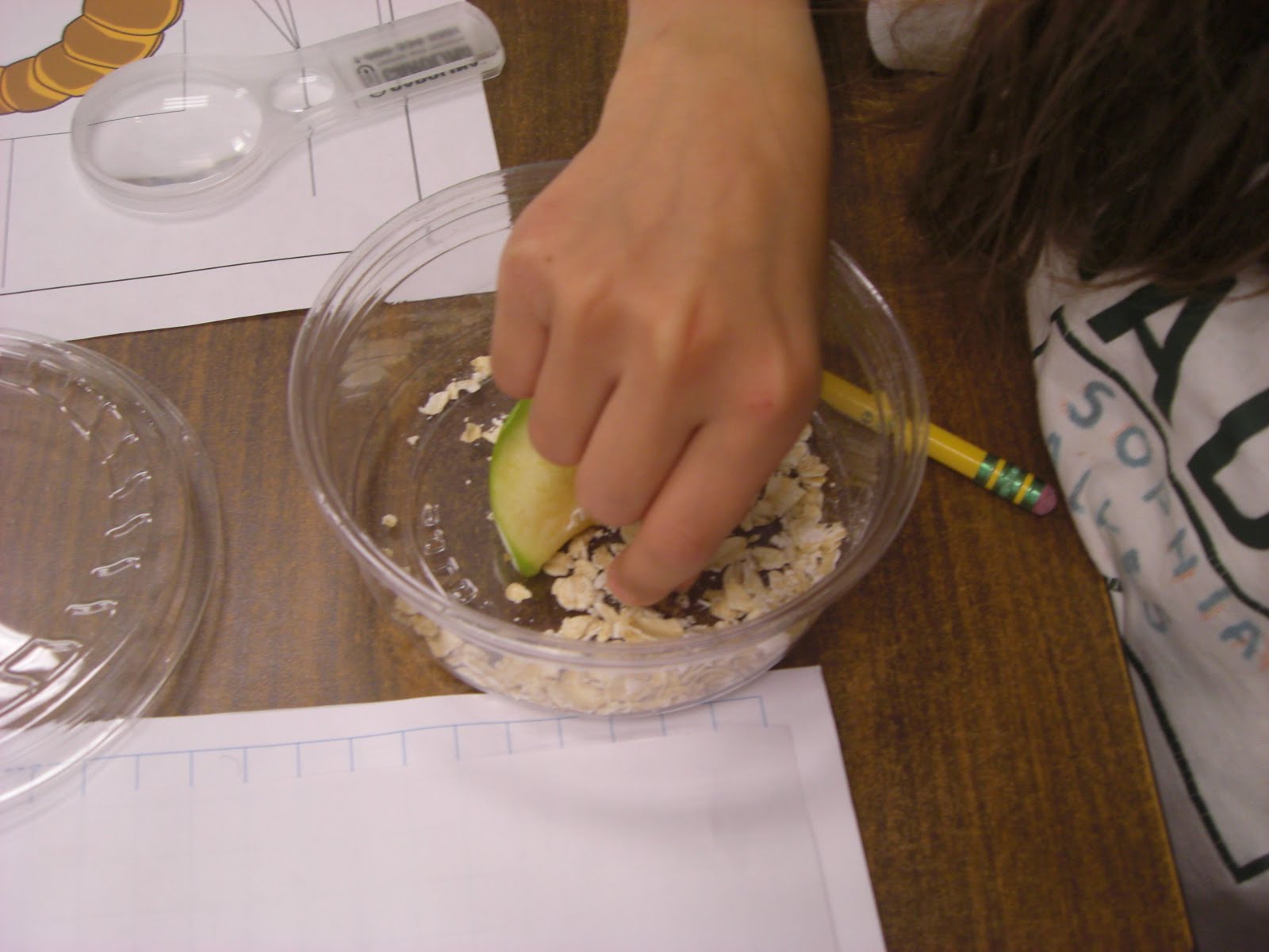 Notes From Second Grade: Mealworms