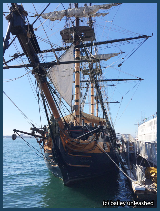 bailey unleashed .com: {this moment} see beautiful: hms surprise