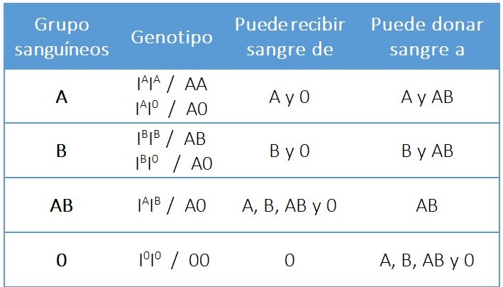 I.E SANTA ELENA - BIOLOGÍA 9°: 2. Alelismo múltiple, tipos de sangre ...