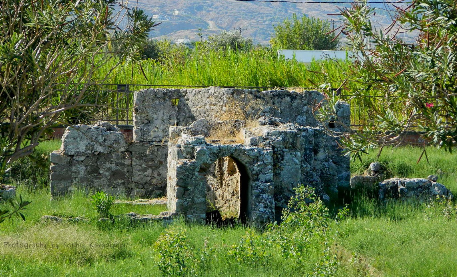 Kos and the Dodecanese through my eyes-Η Κως και τα γύρω νησιά μέσα από ...