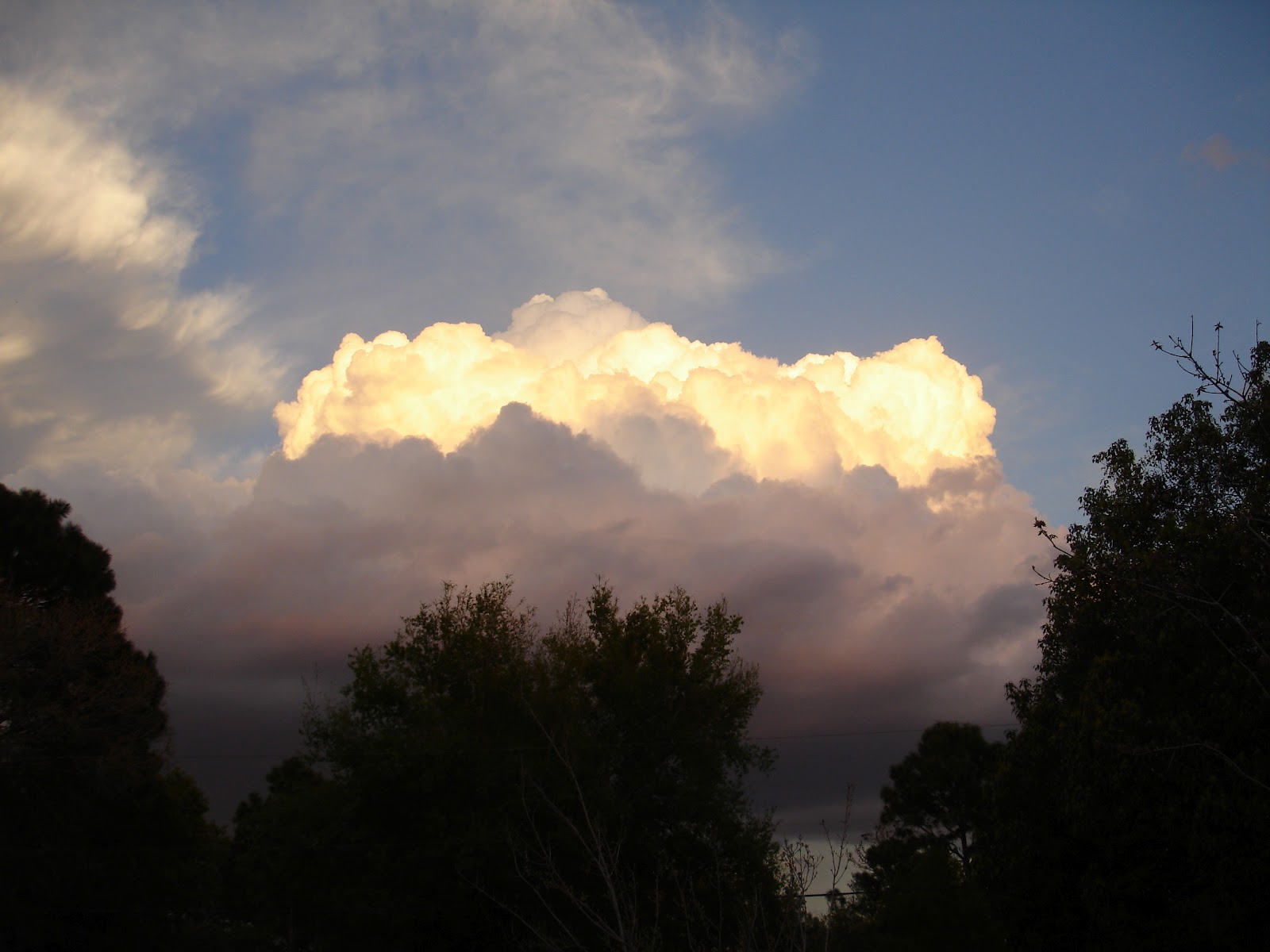 Blue Starr Gallery: Spring Squall