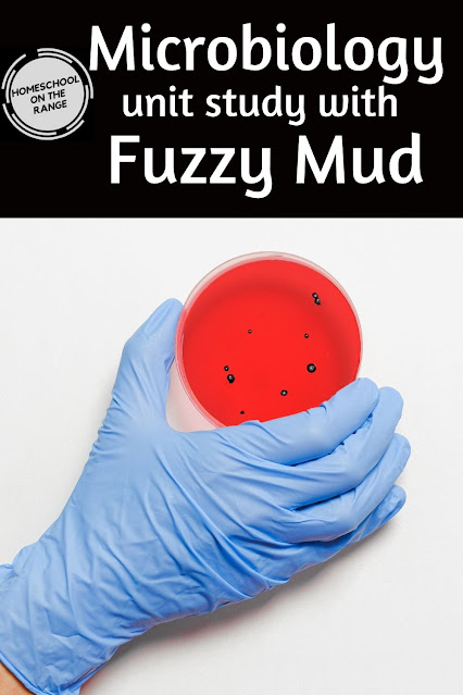 Homeschool On the Range: Fuzzy Mud & Microbiology