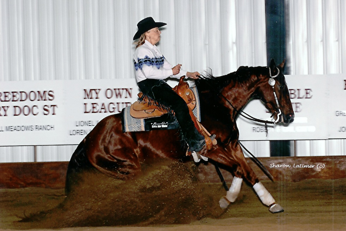 Reining Training Tips ~ ~: Stop Fix #5: Stop Without Rein Contact