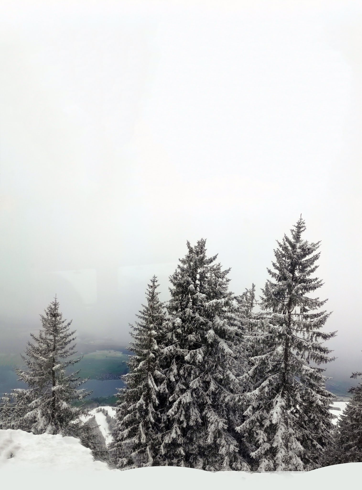 Europe, Switzerland, Alps snow mountains, pine trees in the snow. Check ...