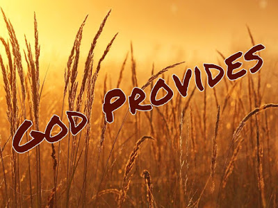 Reluctant Blogger: God Provides