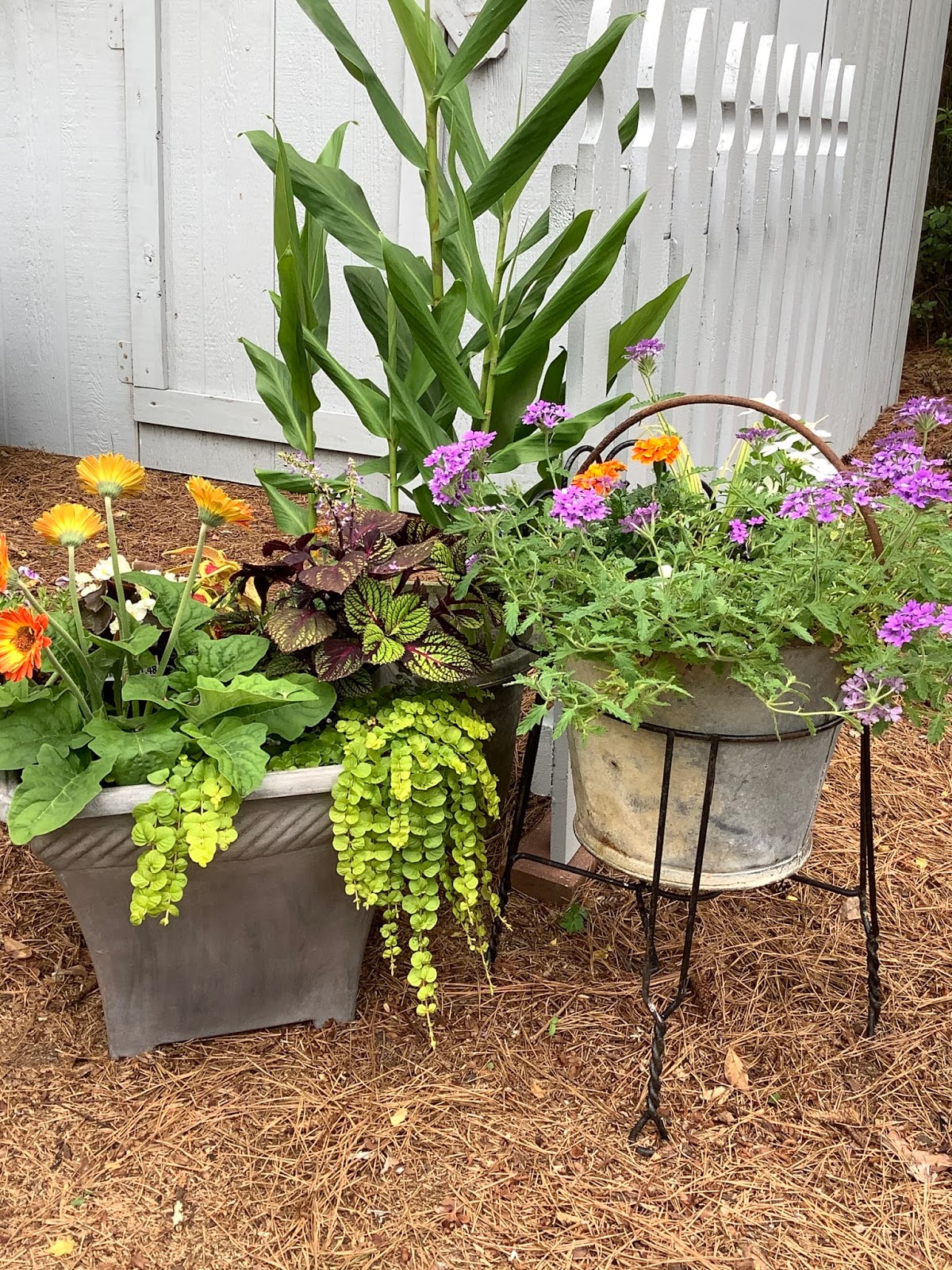 What you can learn about home staging from my Garden Shed Makeover ...