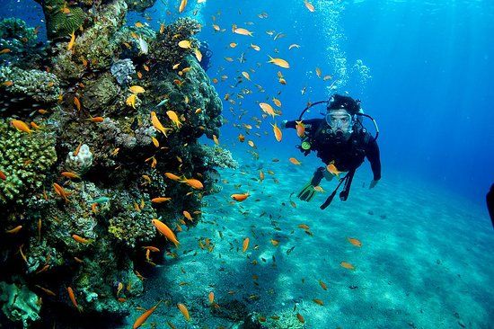 Diving Services in Doha Qatar