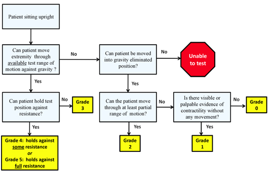 Manual Muscle Testing ( MMT), Grades