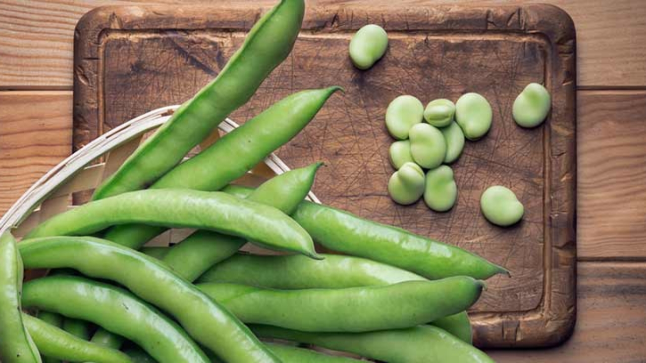 Casa da Saúde: Favas e seus benefícios na Saúde