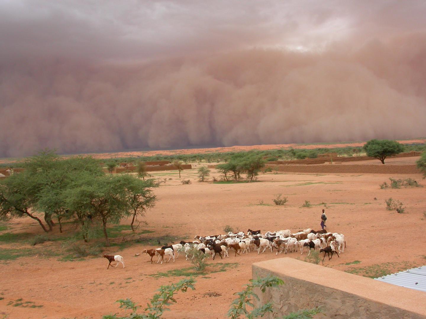 Sahel | Zona Ecoclimática da África