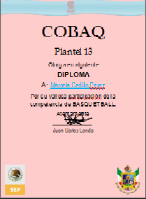 Blog de Evidencias. Marcela Cedillo Perez