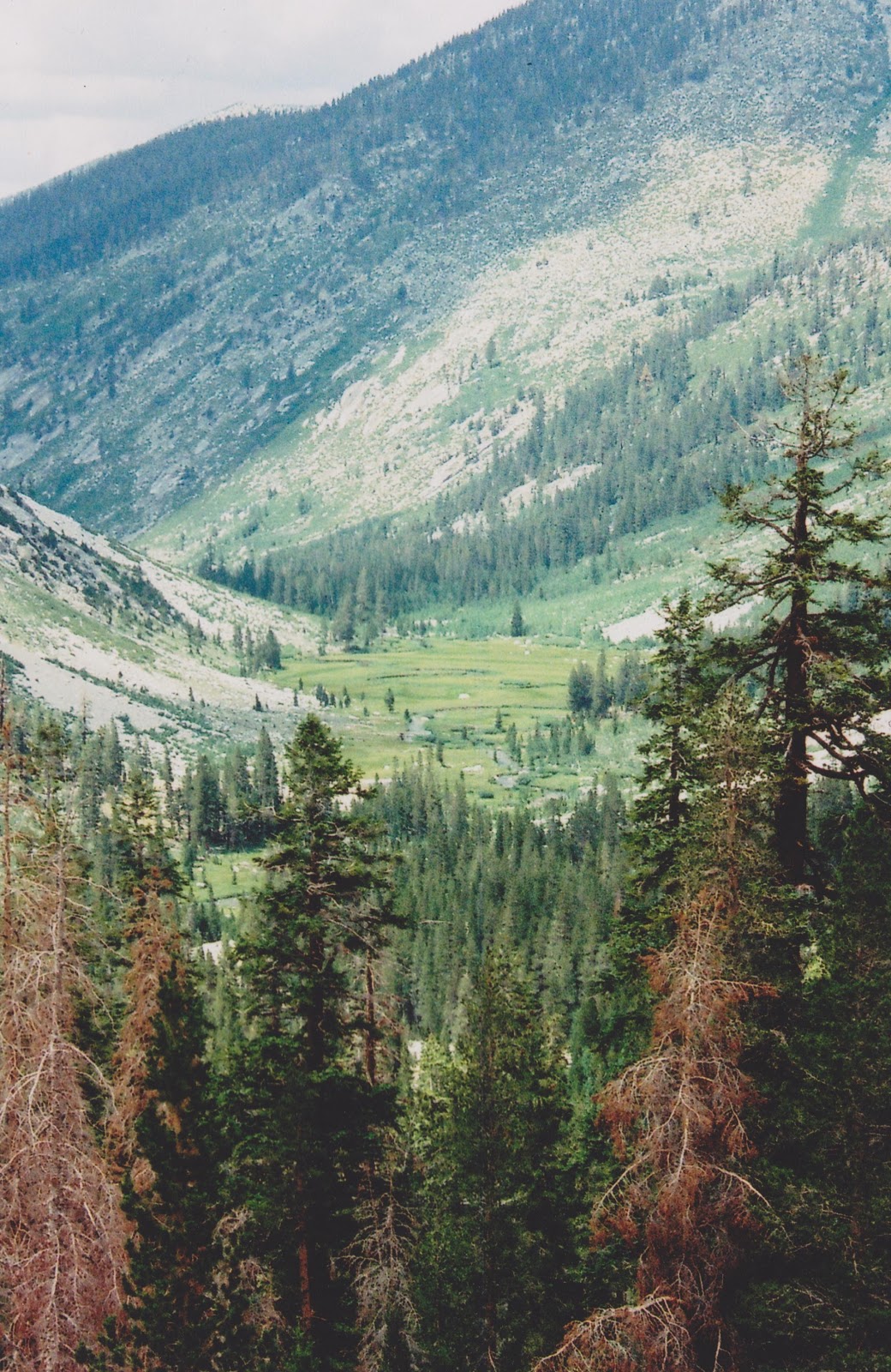 Indiana Woods and Waters: On The Trail Of The Last Mountain Man!