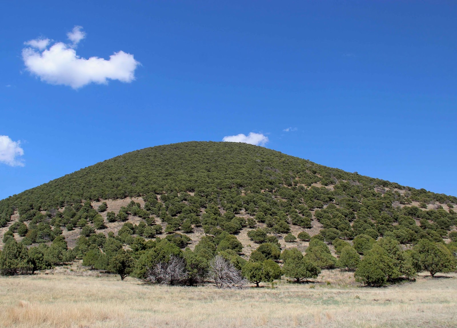 In the Company of Plants and Rocks: Capulín Volcano, Inside and Out