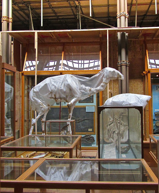 Curiouser and Curiouser: Ghost Dinosaurs at the Natural History Museum