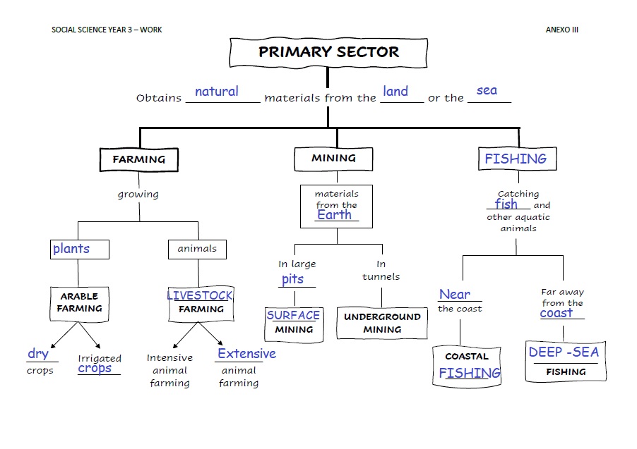 HG SCIENCE CORNER : PRIMARY SECTOR DIAGRAM - CORRECTION