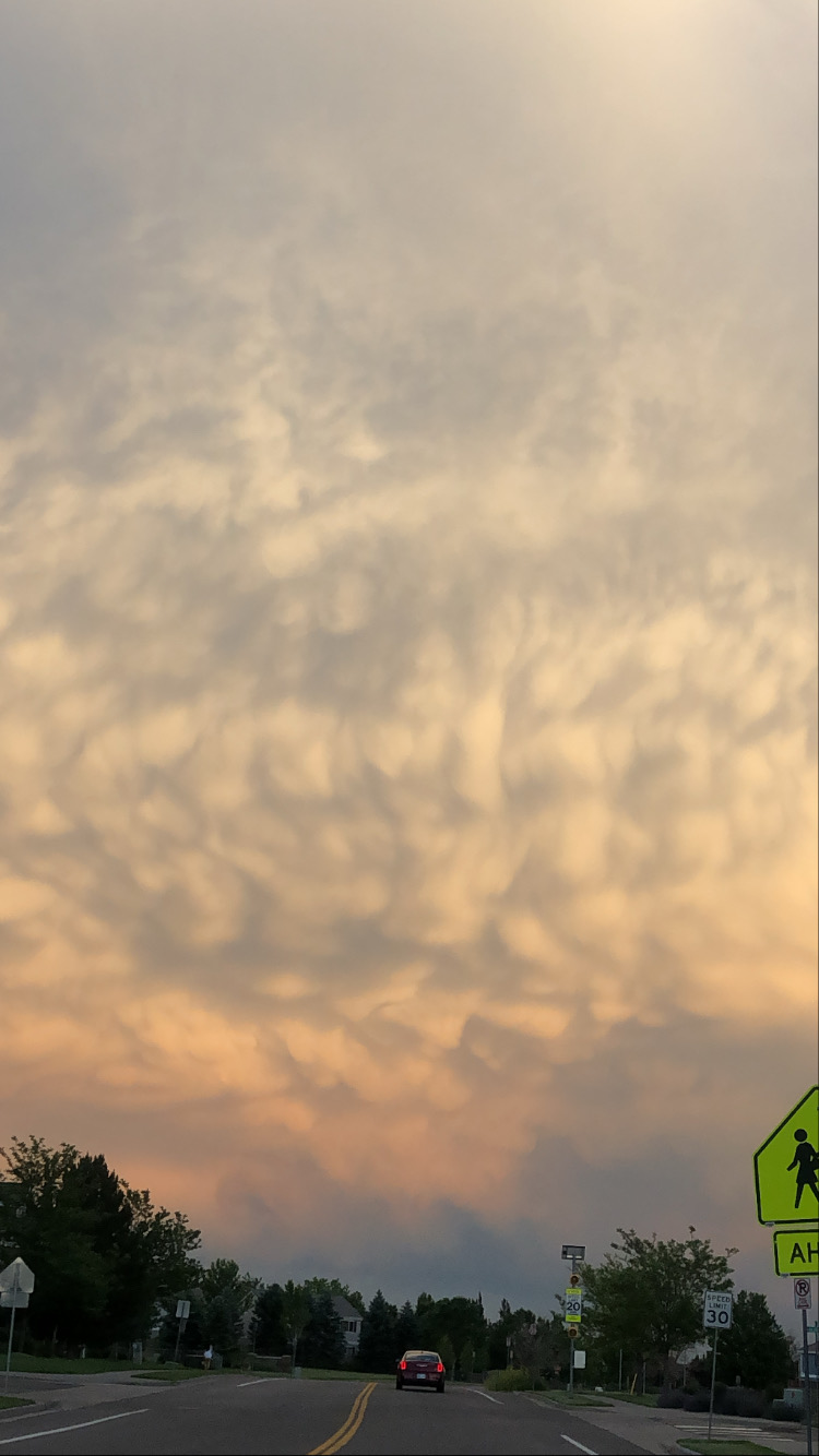 A New Day: Wordless Wednesday {Early June Days}