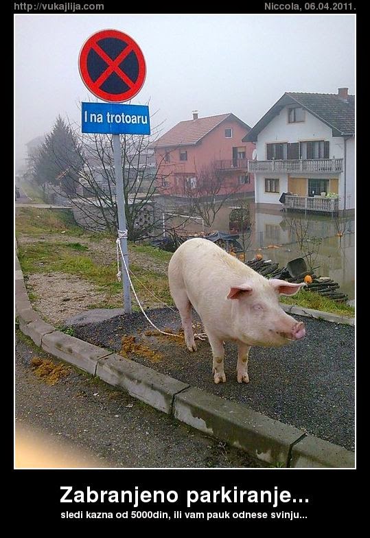 вместо пътеводител Пътни знаци и табели