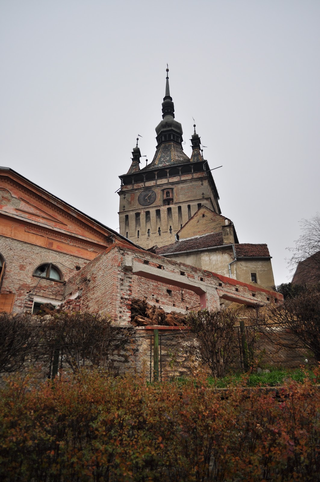 Poze, Natura, Animale, Plante, Romania, Valcea, Ionut Ungureanu
