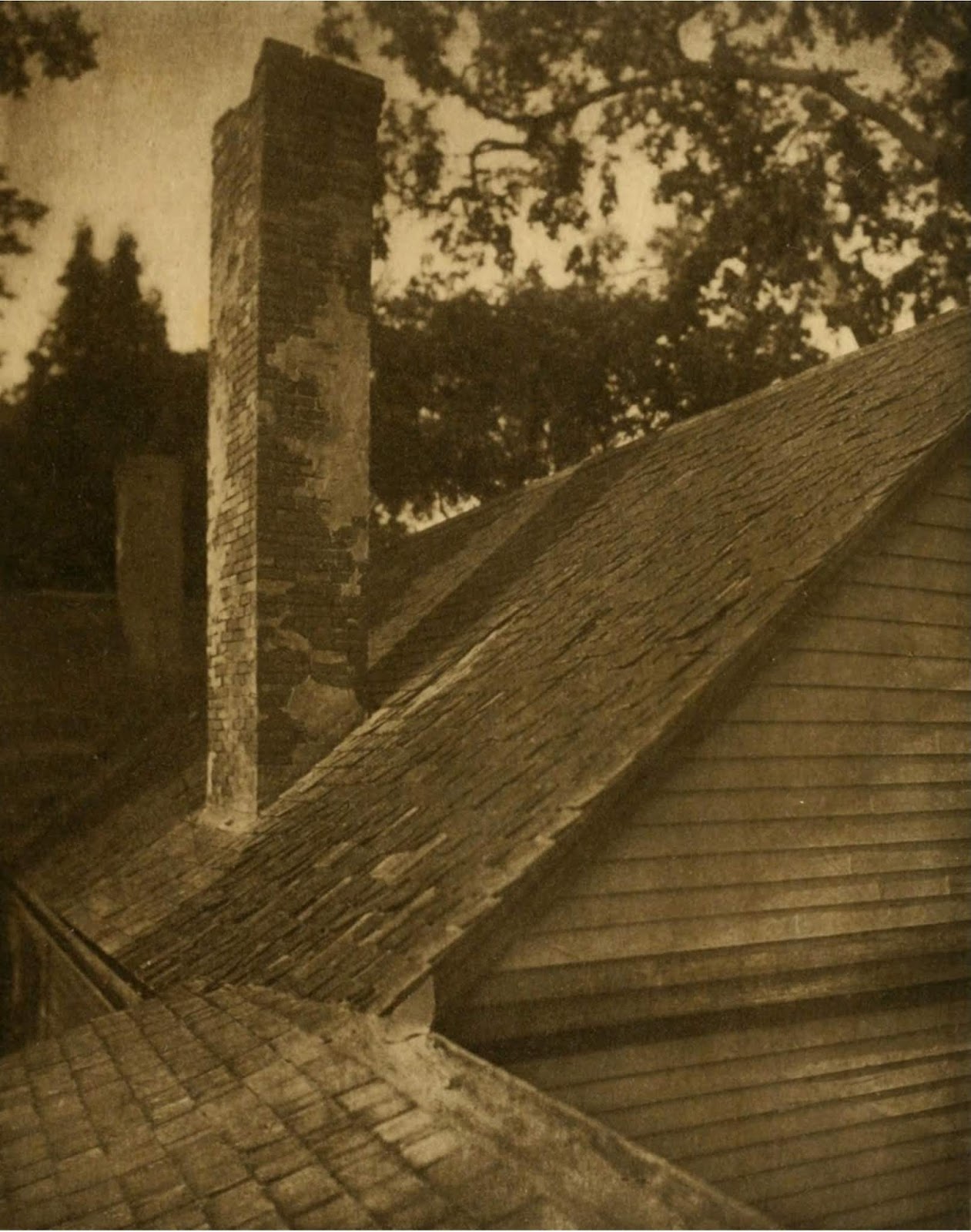 Data Deluge: Photo-Secession (1904)