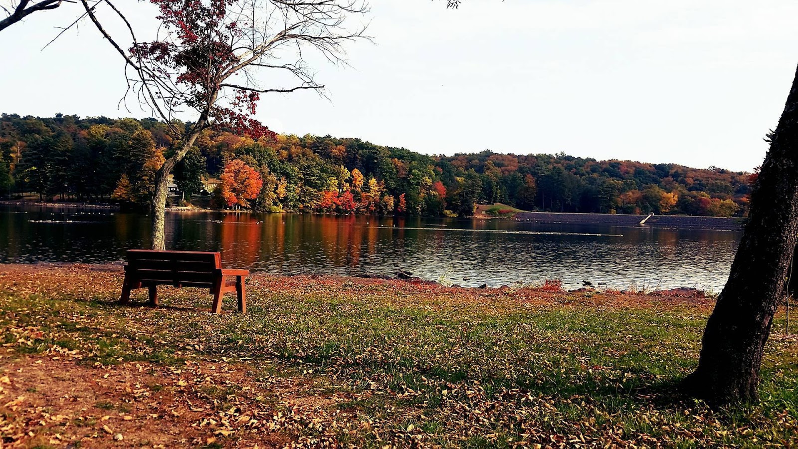 Wee Ones Walk, Autumn Adventure Scheduled for Sweet Arrow Lake Park