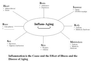 CHRYSALIS: Reducing Silent Inflammation