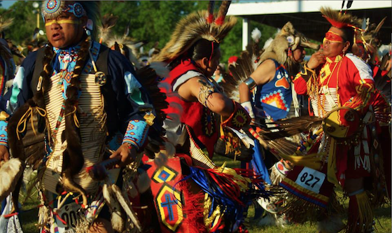 White Wolf : The Beauty and Elegance of Pow Wow: Photos