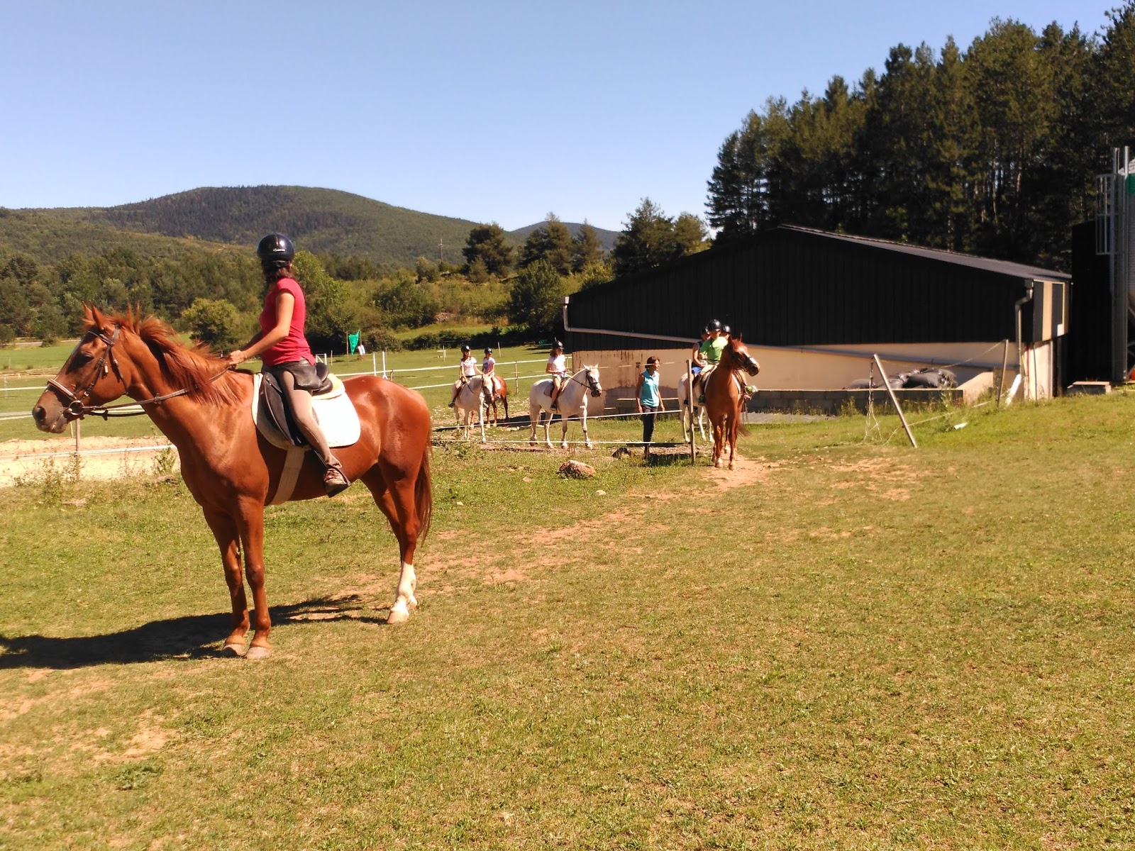 CaMPaMeNTo CHeSo: 13 de julio de 2017 ¡Hoy día de caballos!