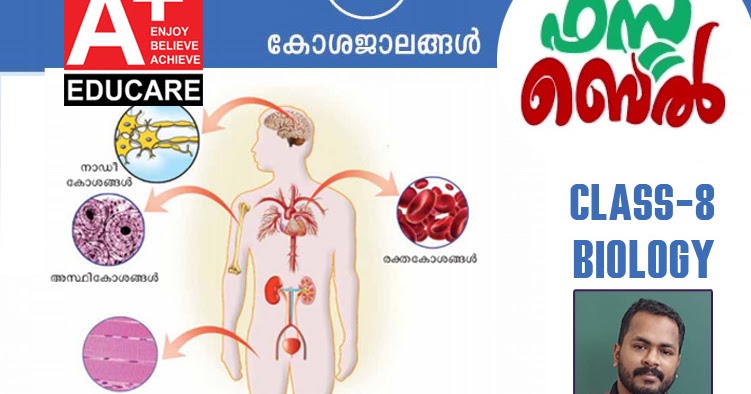 Aplus Blog: STD-8-FIRST BELL-BIOLOGY-CHAPTER-2-CLASS-10-REVISION NOTE Aplus Blog: STD-8-FIRST BELL-BIOLOGY-CHAPTER-2-CLASS-10-REVISION NOTE